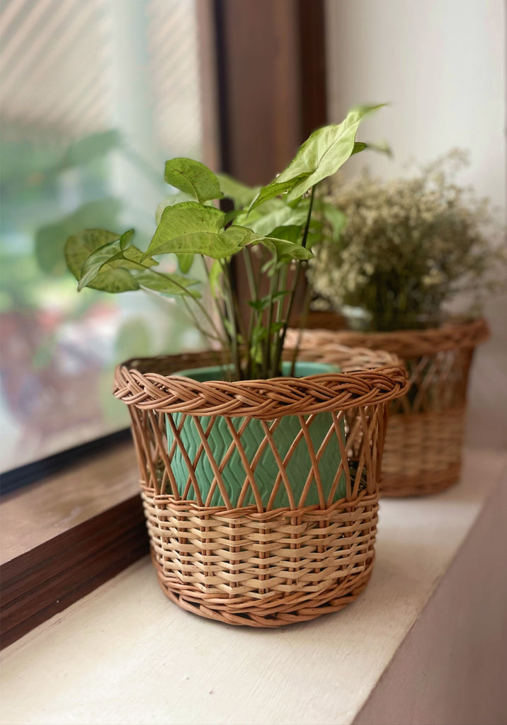 Handcrafted English Willow Planter from Kashmir – Pine cone™
